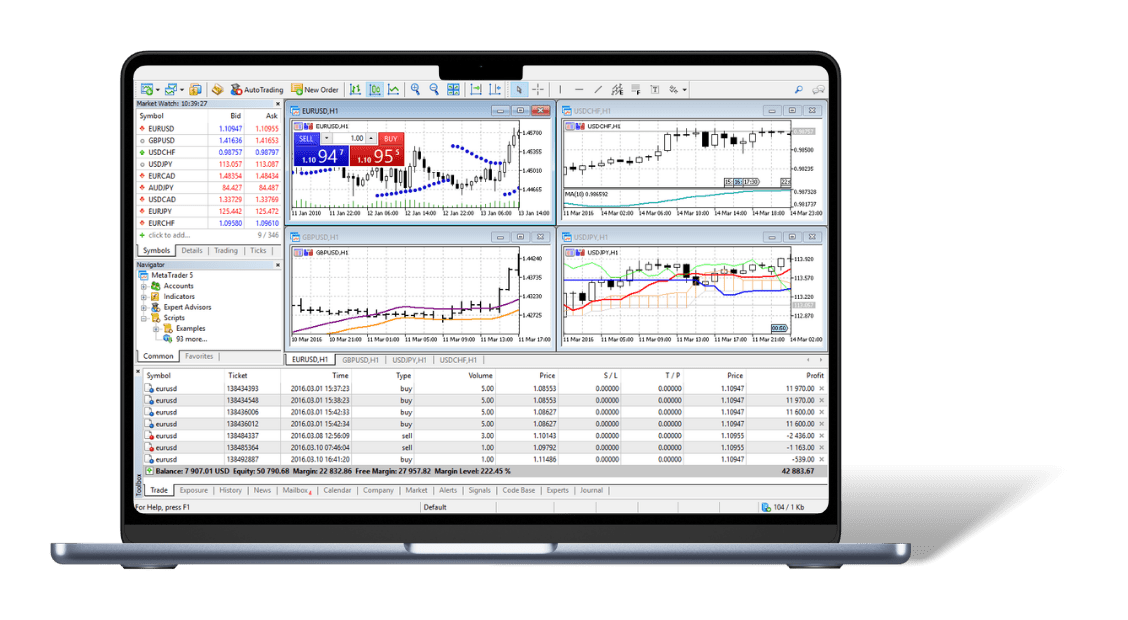 Home - Wingo Markets